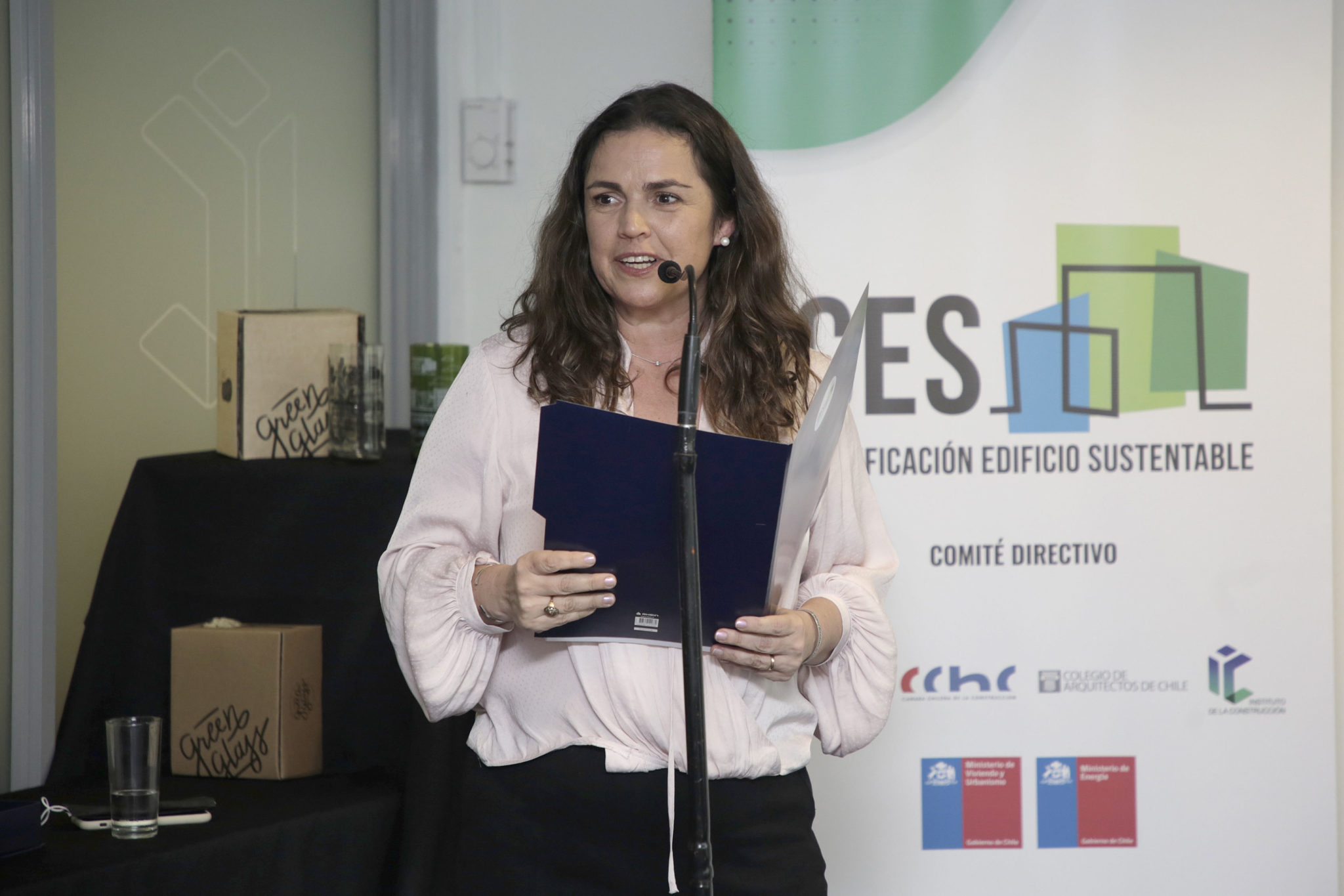 Curicó y San Felipe tienen los edificios públicos más sustentables de ...